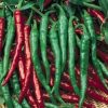 Pimenta Cayenne: 40 Sementes - SoFlor Sementes