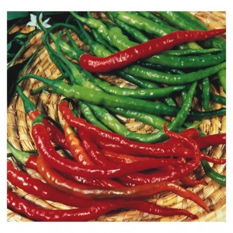 Pimenta Cayenne: 40 Sementes - SoFlor Sementes