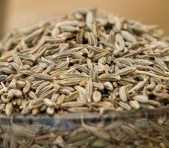 Cominho: 20 Sementes - SoFlor Sementes