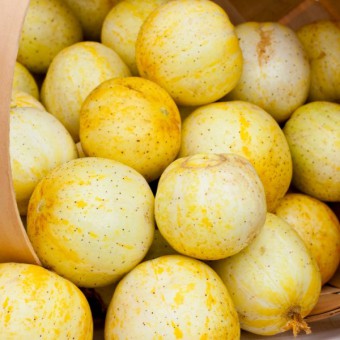 Pepino Limão (Lemon): 15 Sementes - SoFlor Sementes
