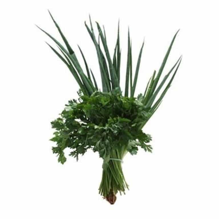 Cheiro Verde: 50 Sementes - SoFlor Sementes