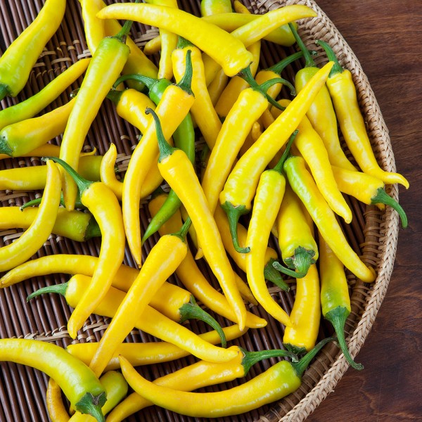 Pimenta Cayenne Amarela: 20 Sementes - SoFlor Sementes